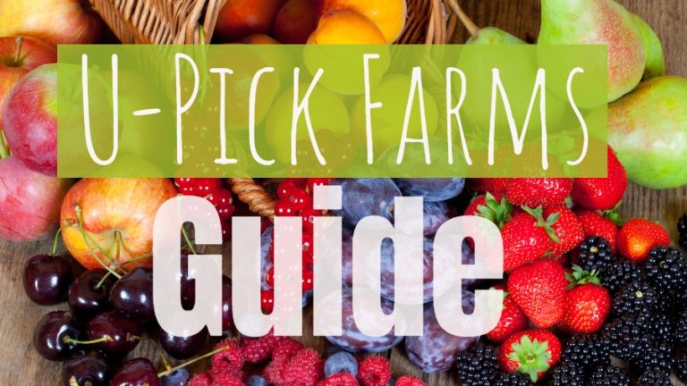 32 U-Pick Farms Near Kansas City